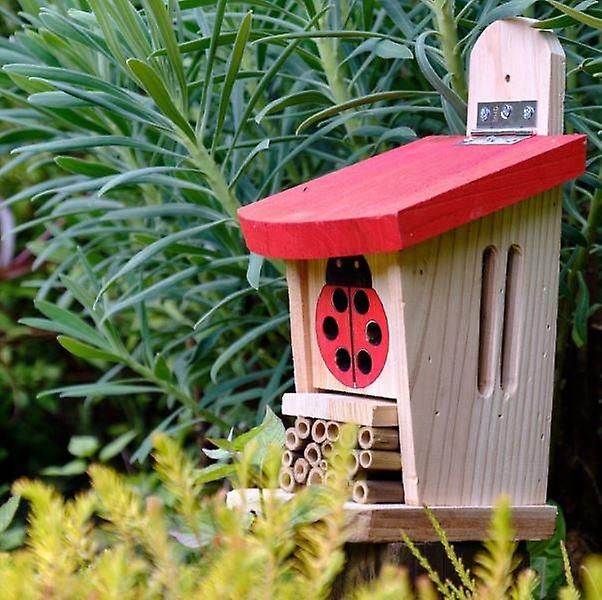 Wooden Natural Ladybird & Insect House/Hotel With Flip-Top Opening For ...