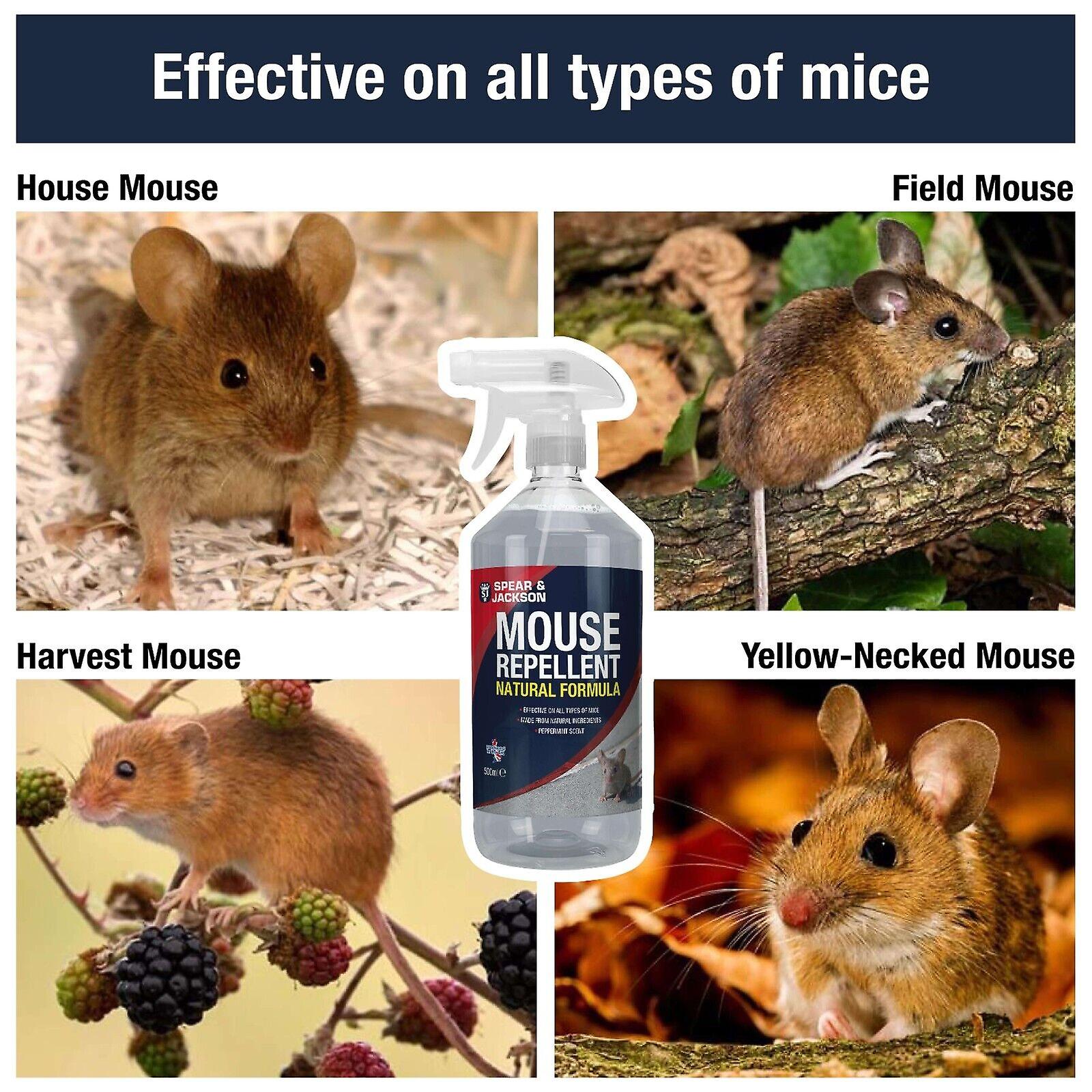 Mouse Repellent 500ml Peppermint Scent Natural Ingredients Spear and ...