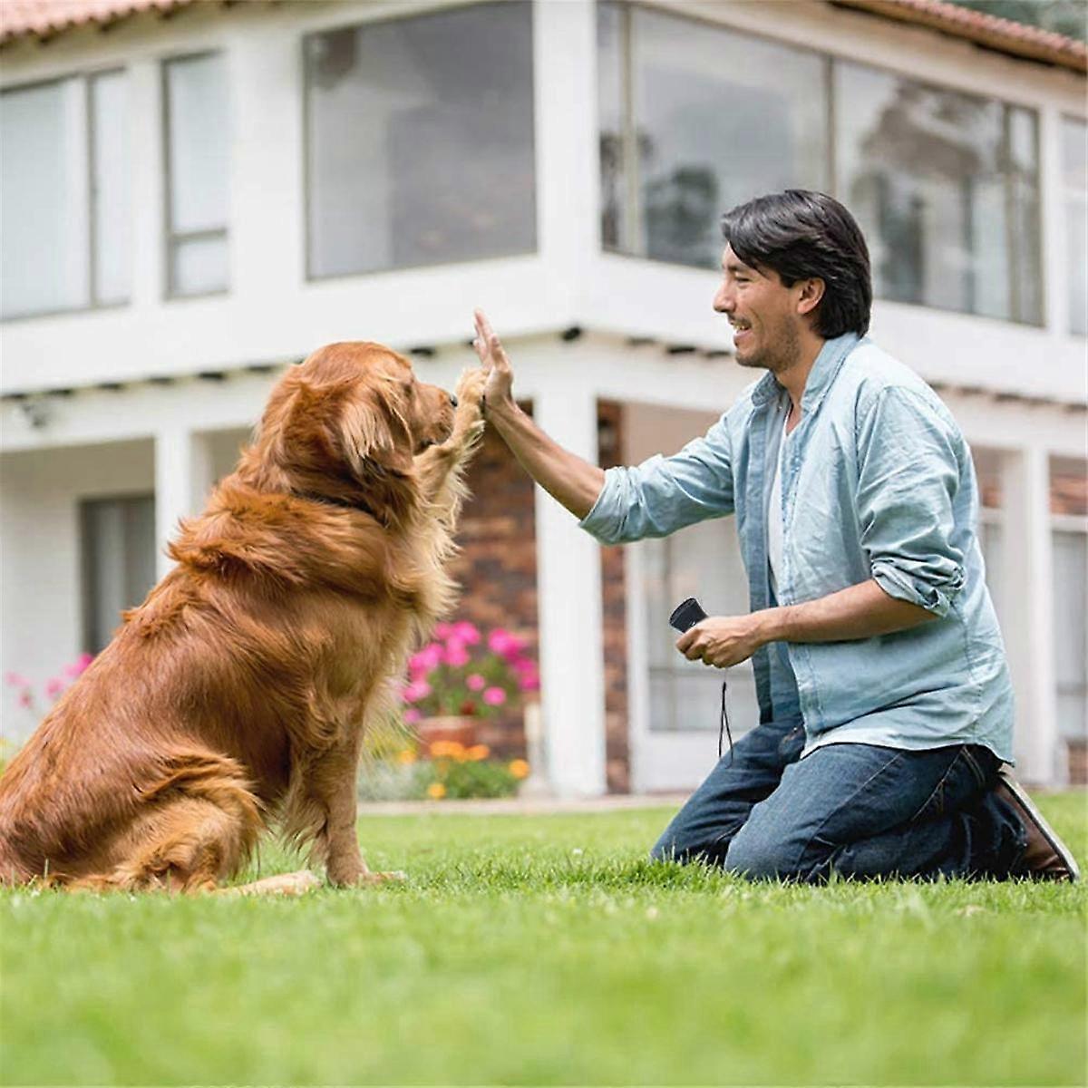 Ultrasonic Bark Stopper Portable Bark Stopper Handheld Dog Repeller ...