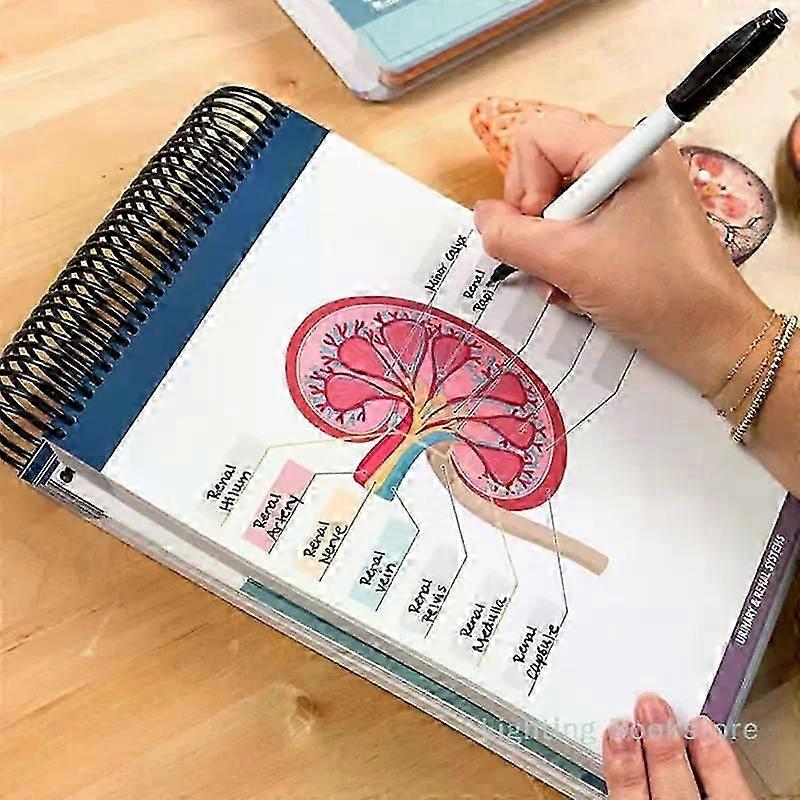 Anatomy Label Lab Workbook 100+ Full-color Dry-erase Pages With Human ...