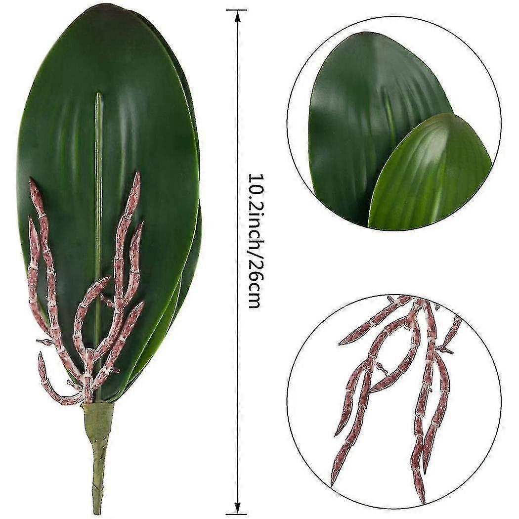 Phalaenopsis Orchids Leaves Artificial Real Looking Roots Latex Contact ...