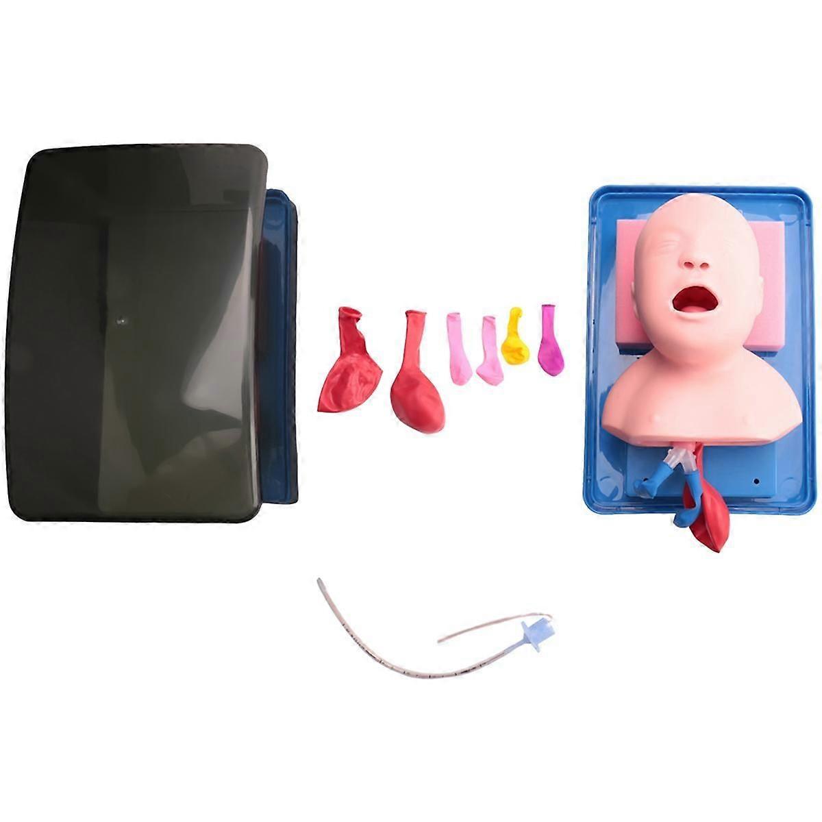 Neonatal Tracheal Intubation Model Analog Double Lung and Stomach ...