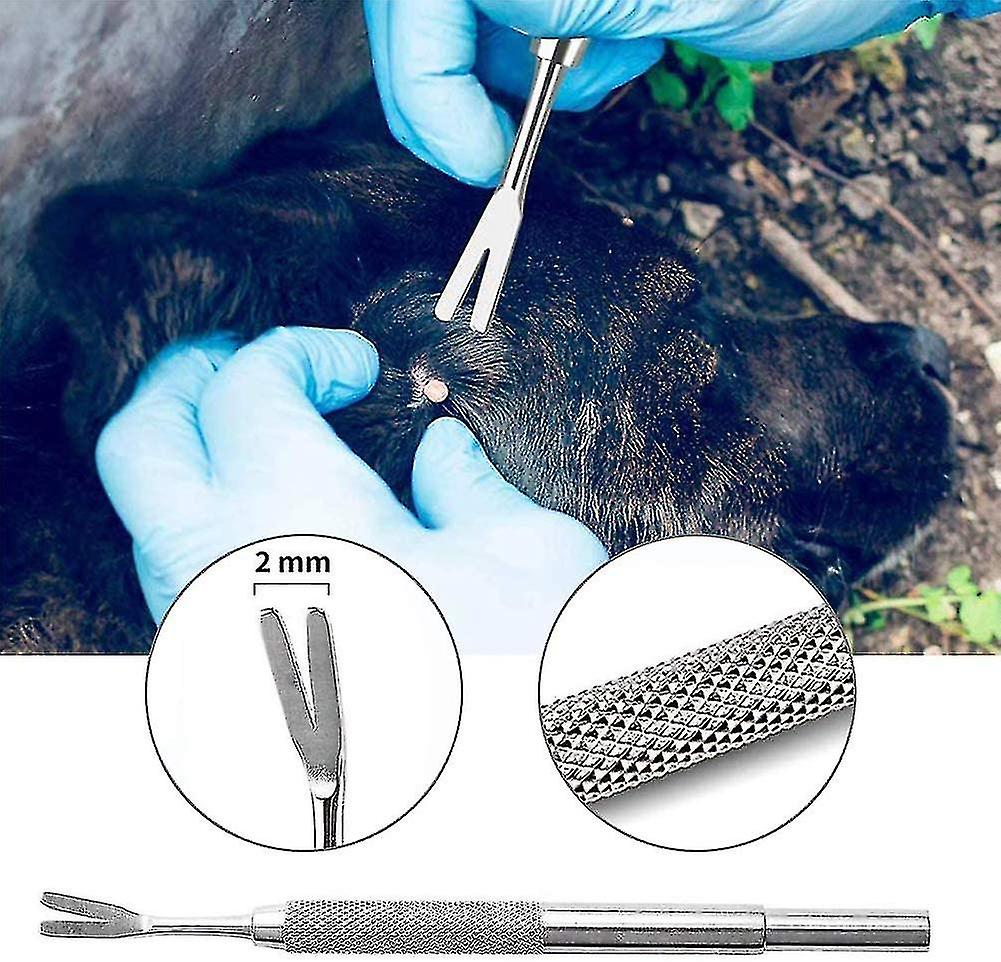Tick Trap, Tick Hook, Dog And Cat Anti-tick, High Quality Stainless ...