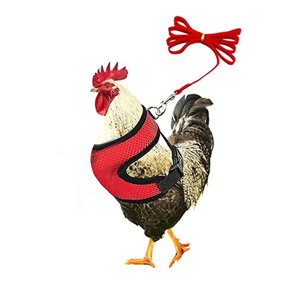 Adjustable Chicken Harness With Leash- Comfortable Hen Vest Breathable ...