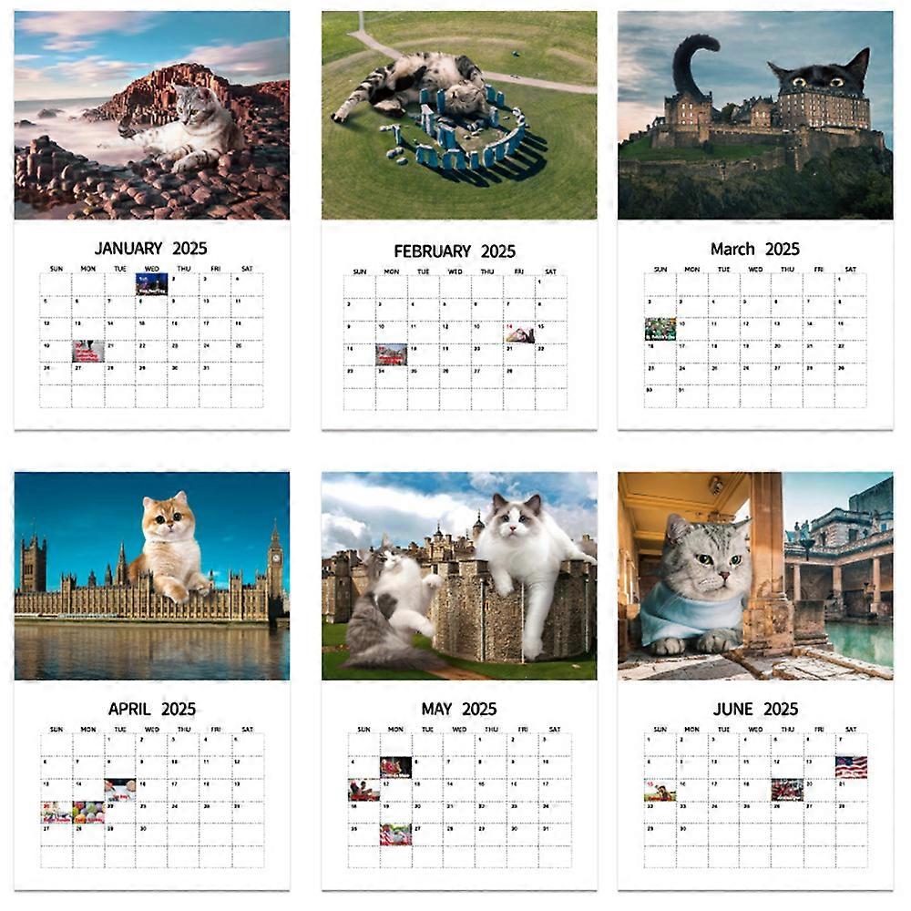 2025 Giant Cats Wall Calendar Funny Cat 12 Monthly Calendar Planner For ...