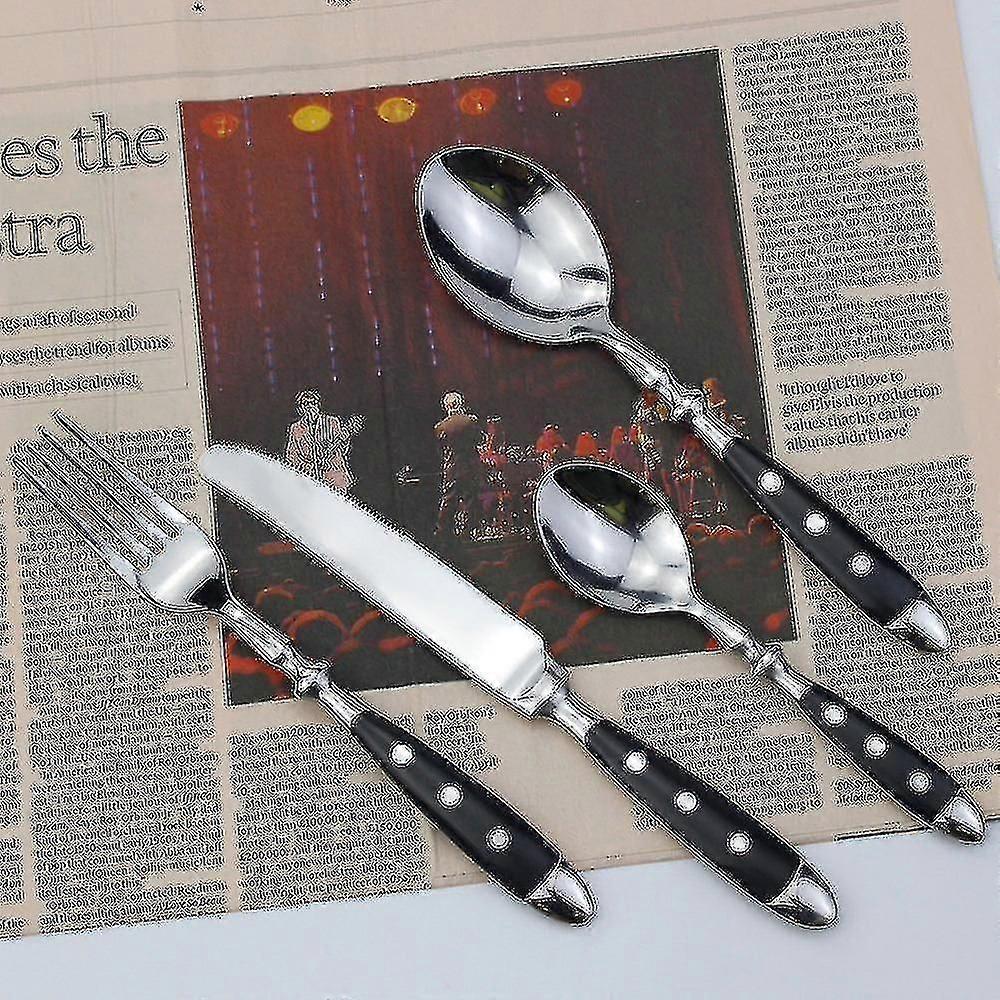 Classic Elegant Resin Rivets Handle Style Stainless Steel Western ...