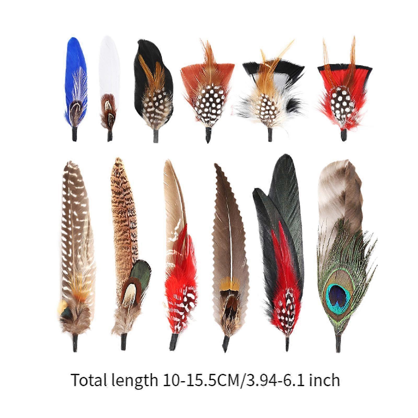 Hat Feathers Assorted Feathers Fashion Cowboy Hat Feather Craft ...