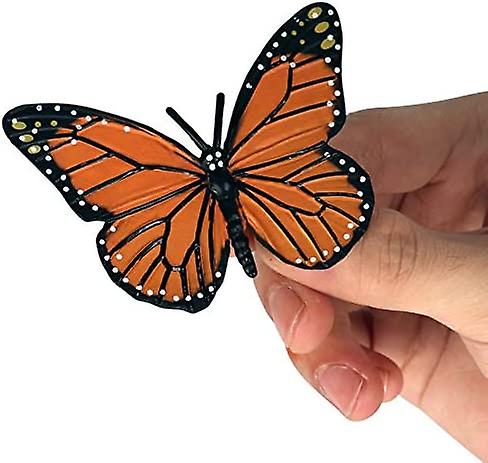 Insect Monarch Butterfly Growth Cycle Figurine Monarch Butterfly Life ...