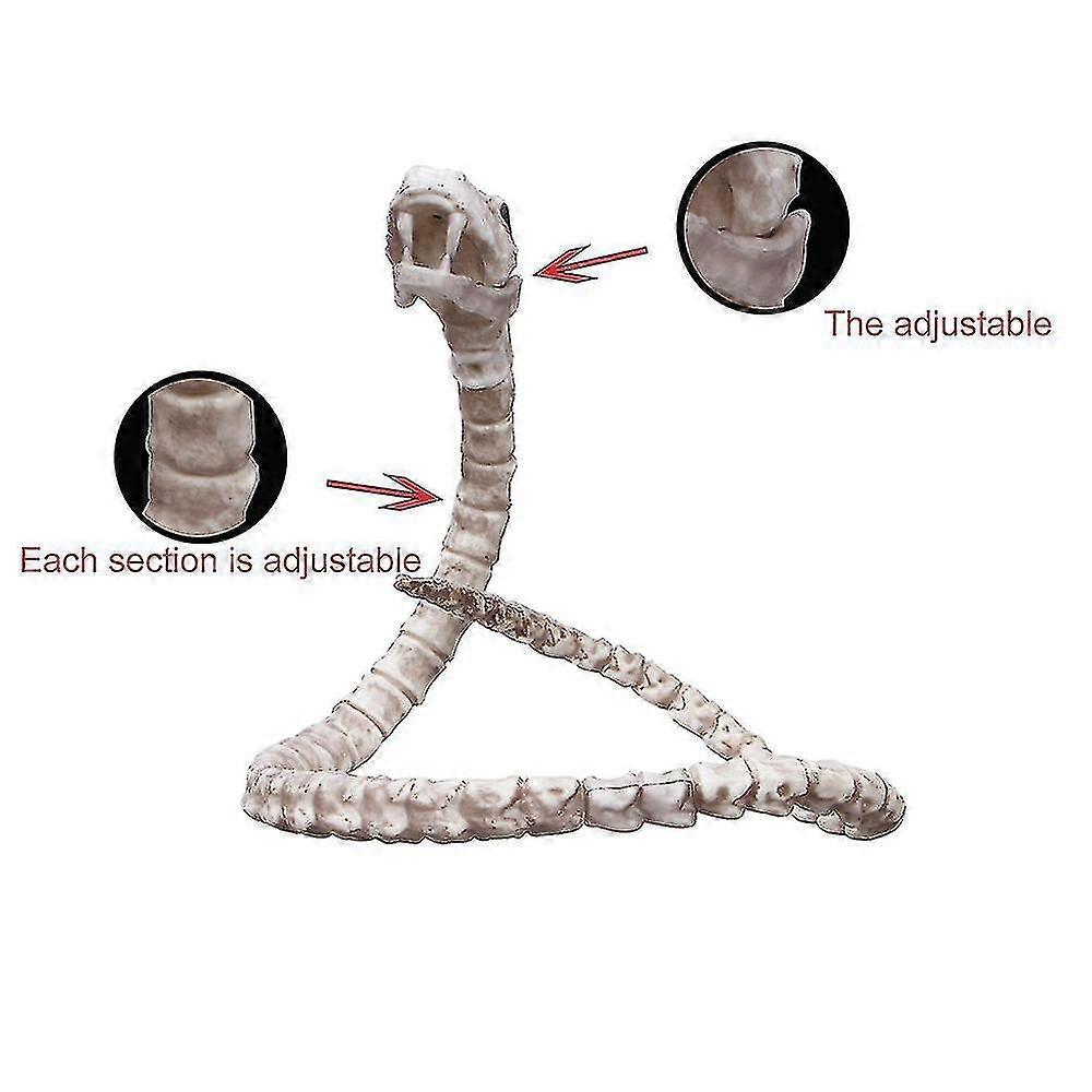 Skeleton Snake Halloween Animal Skeletons Posable Joints Scary Prop ...