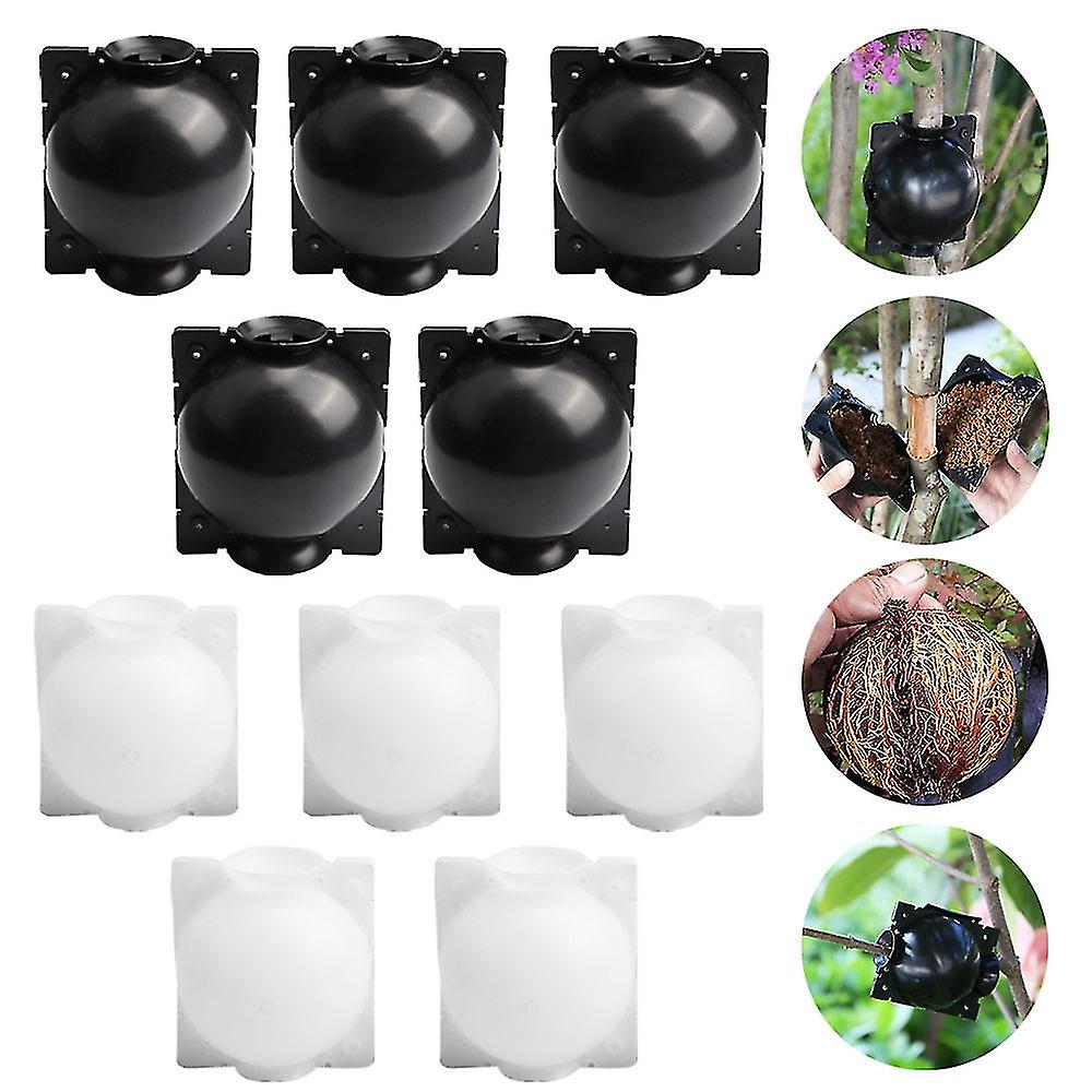 10 Pack Plant Rooting Deviceplant Root Growing Box For Plant ...