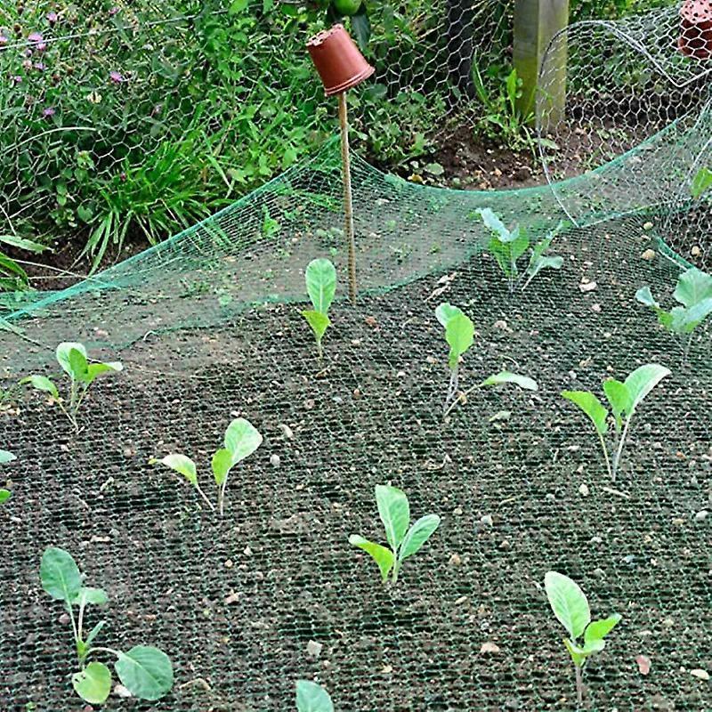 Garden Plant Nets Bird Protection Nets Crop Protection Fences Traps ...