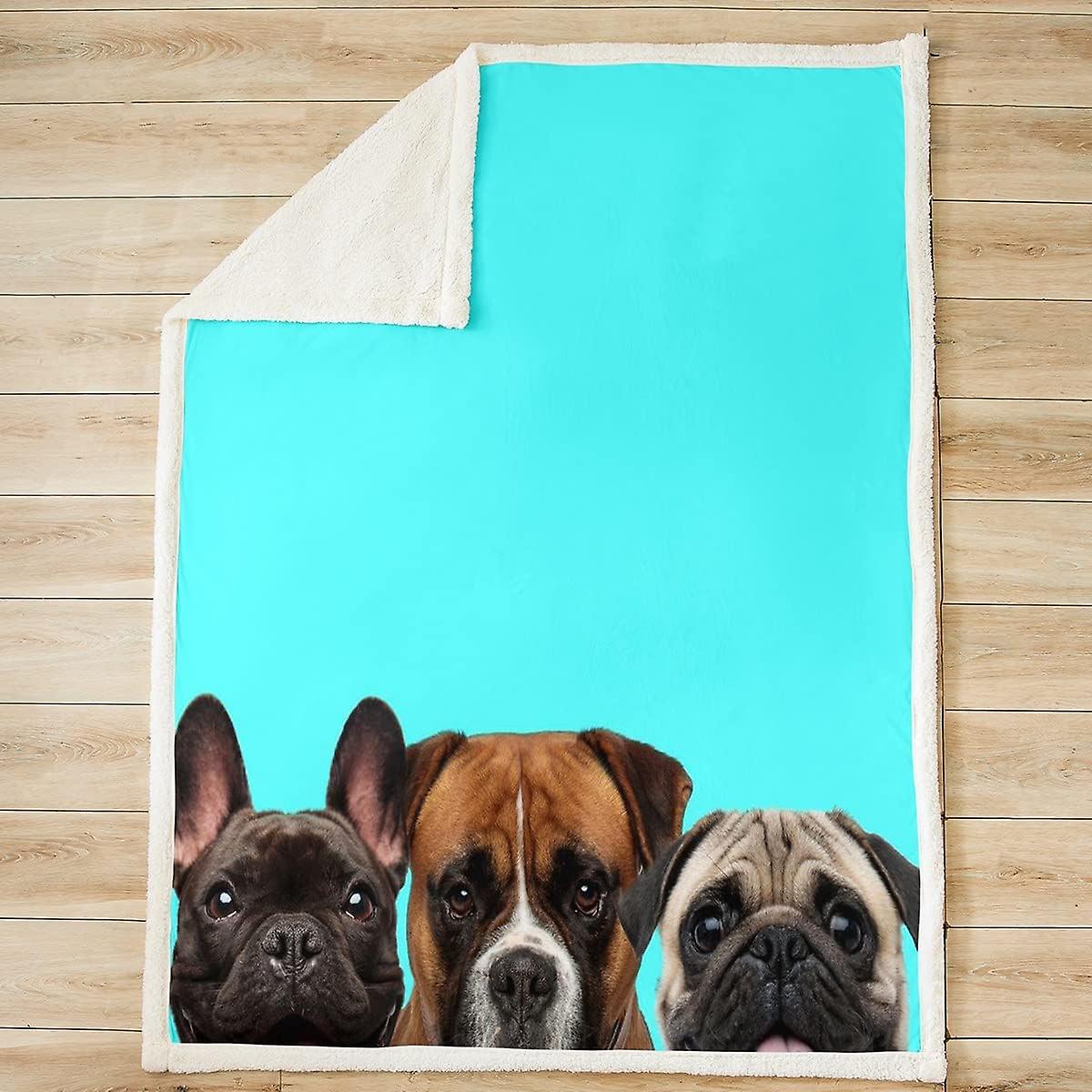 Sällskapsdjur Hundar Plysch Filt Söt Mops Hund Fransk Bulldog Kasta ...