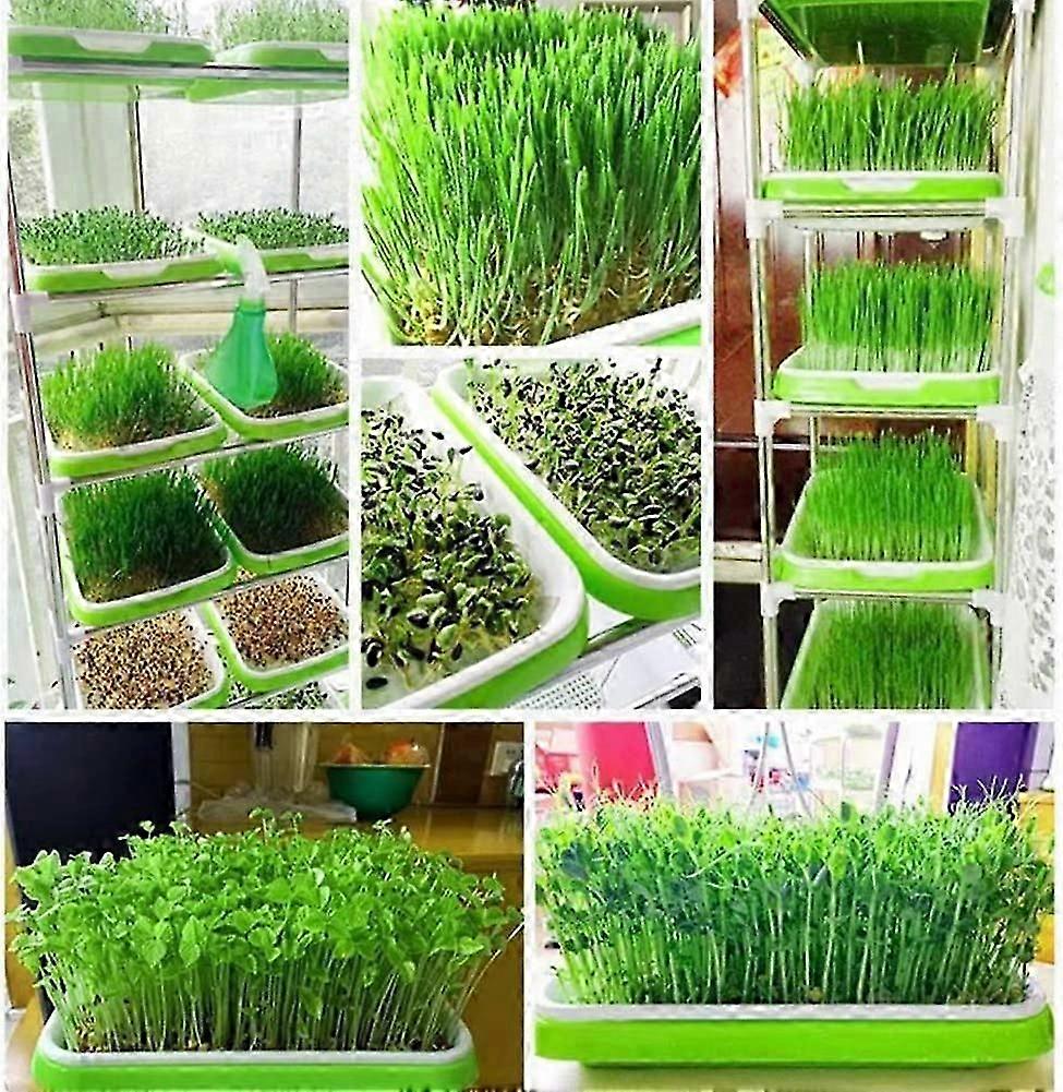 Germination Tray for Seeds to Sprout, 1pcs Seed Germination Trays ...