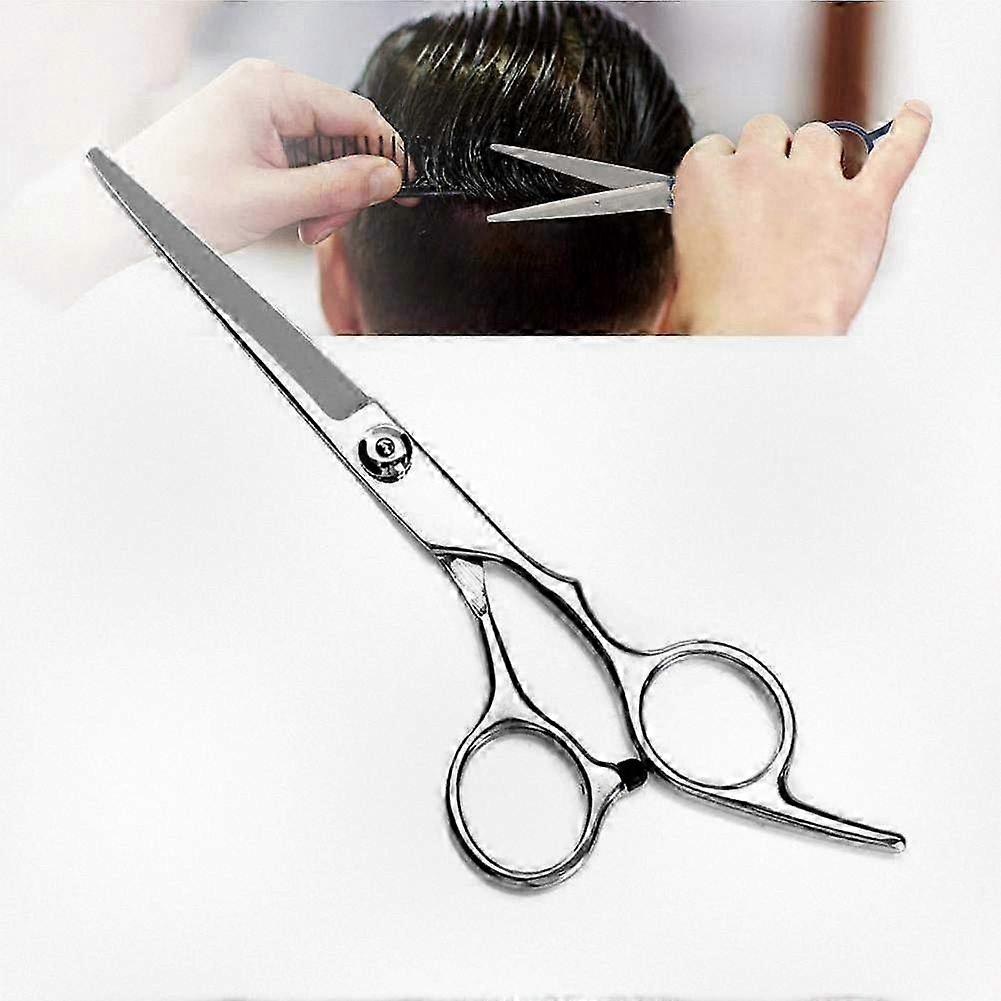 Professional 6-Inch Stainless Steel Hair Cutting Scissors, Ultra Sharp ...