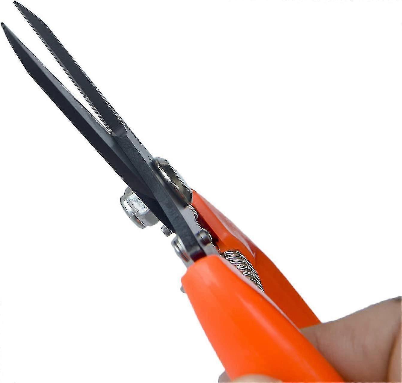 Foot Rot Shears Sheep Hoof Trimming Shear Goat Hooves Trimmers Multi ...