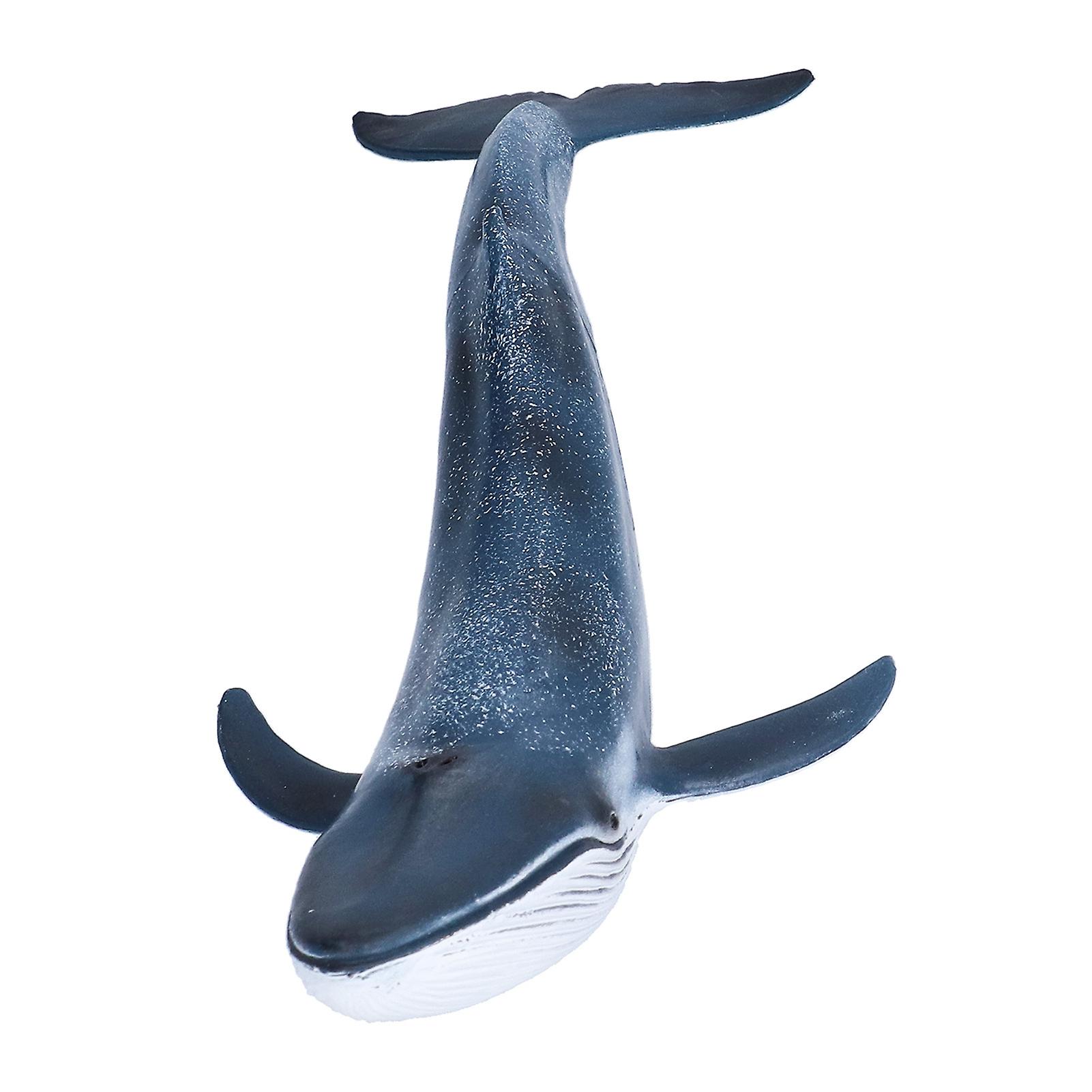 Blue Whale Figure Toy Educational Marine Animal Model for Kids | Fruugo UK