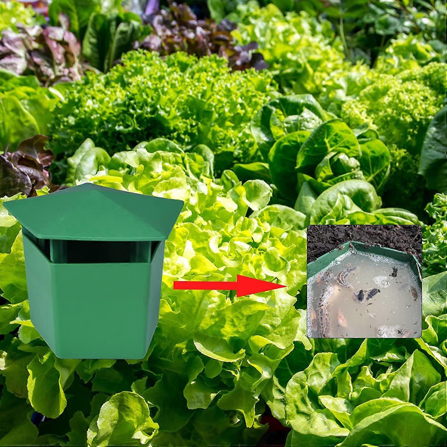 6pcs Natural Snail Traps, Beer Traps, Snail Slug Traps, Green Eco ...