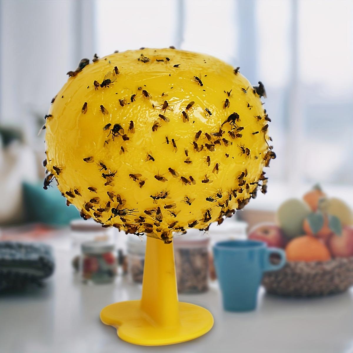 1pc, Fruit Fly Balls Fly Ball Trap Sticky Insect Ball Citrus Needle ...