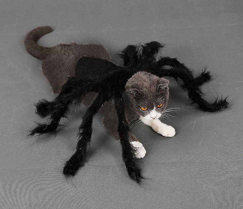 Puppy Cat Horror Plush Spider Transform Into Party Dress | Fruugo DK