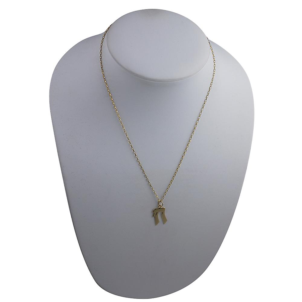 9ct Gold 14x19mm Hebrew word for life Chai Pendant with a belcher Chain ...