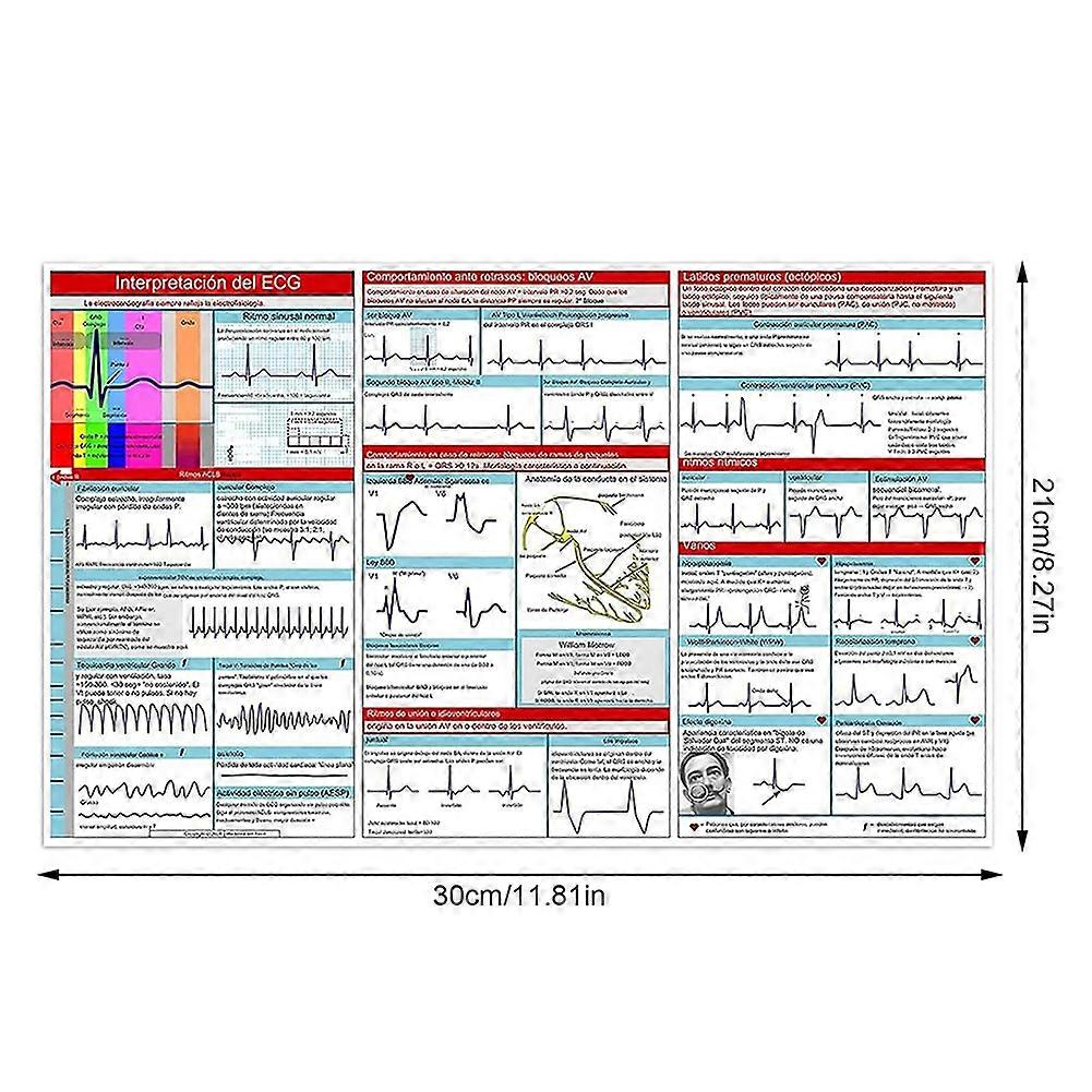 EKG Pocket Guide 3-in-1 Cardiac Reference for Nurses EMTs, Rapid ...