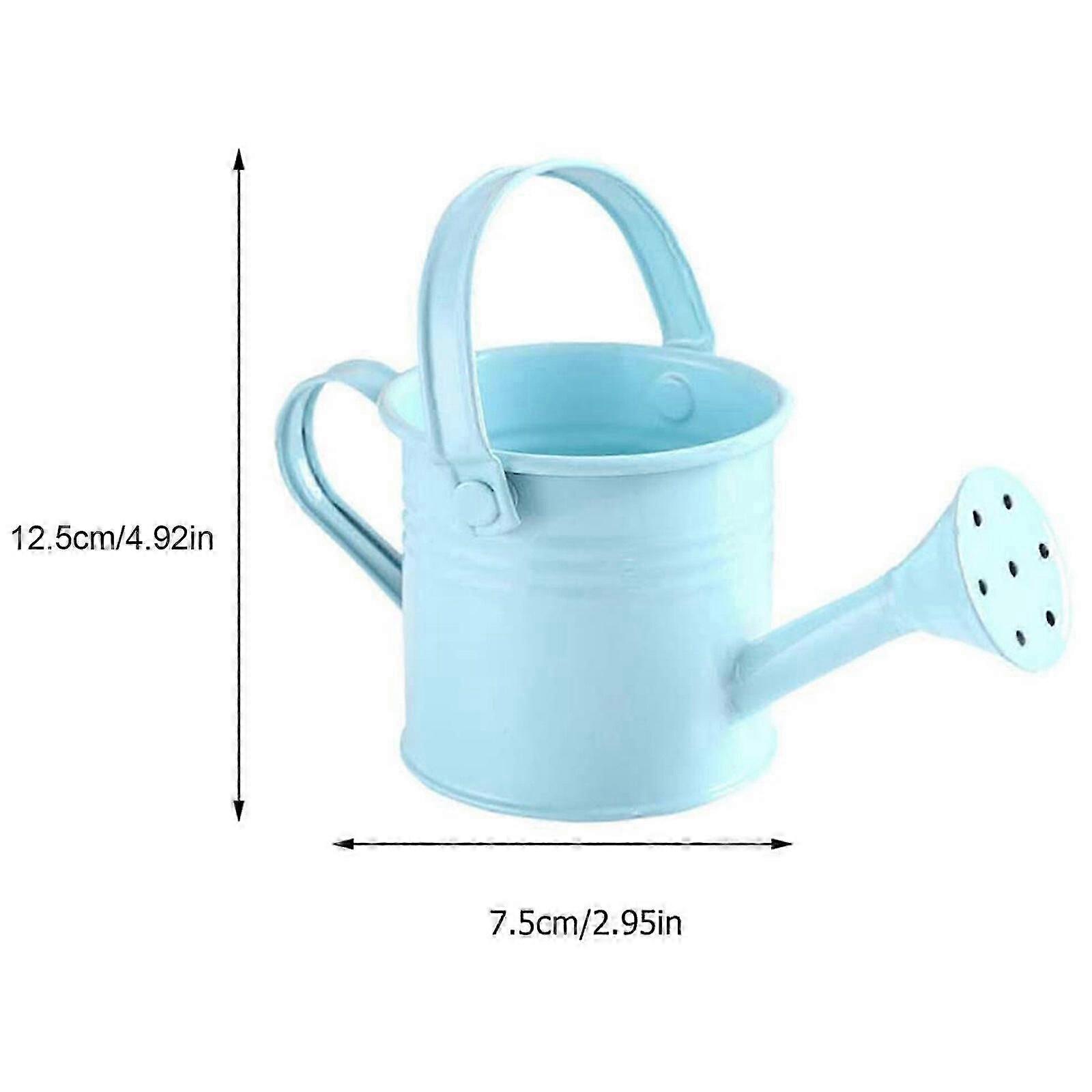 Portable Metal Watering Can with Long Spout, Wrought Iron Handle for ...
