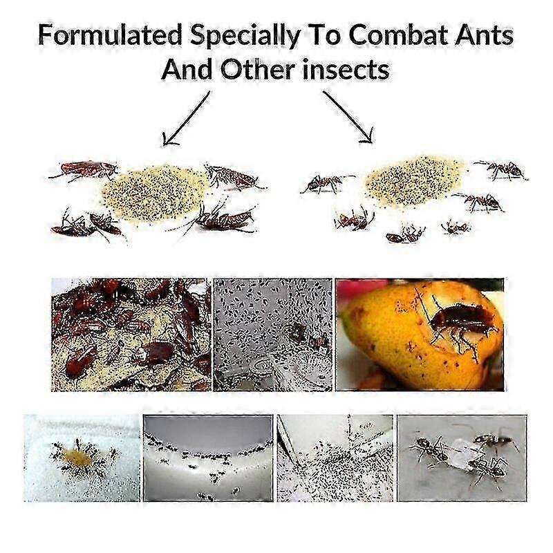 50pack Cockroach Killing Bait Insect Eradication Powder Ant/cockroach ...