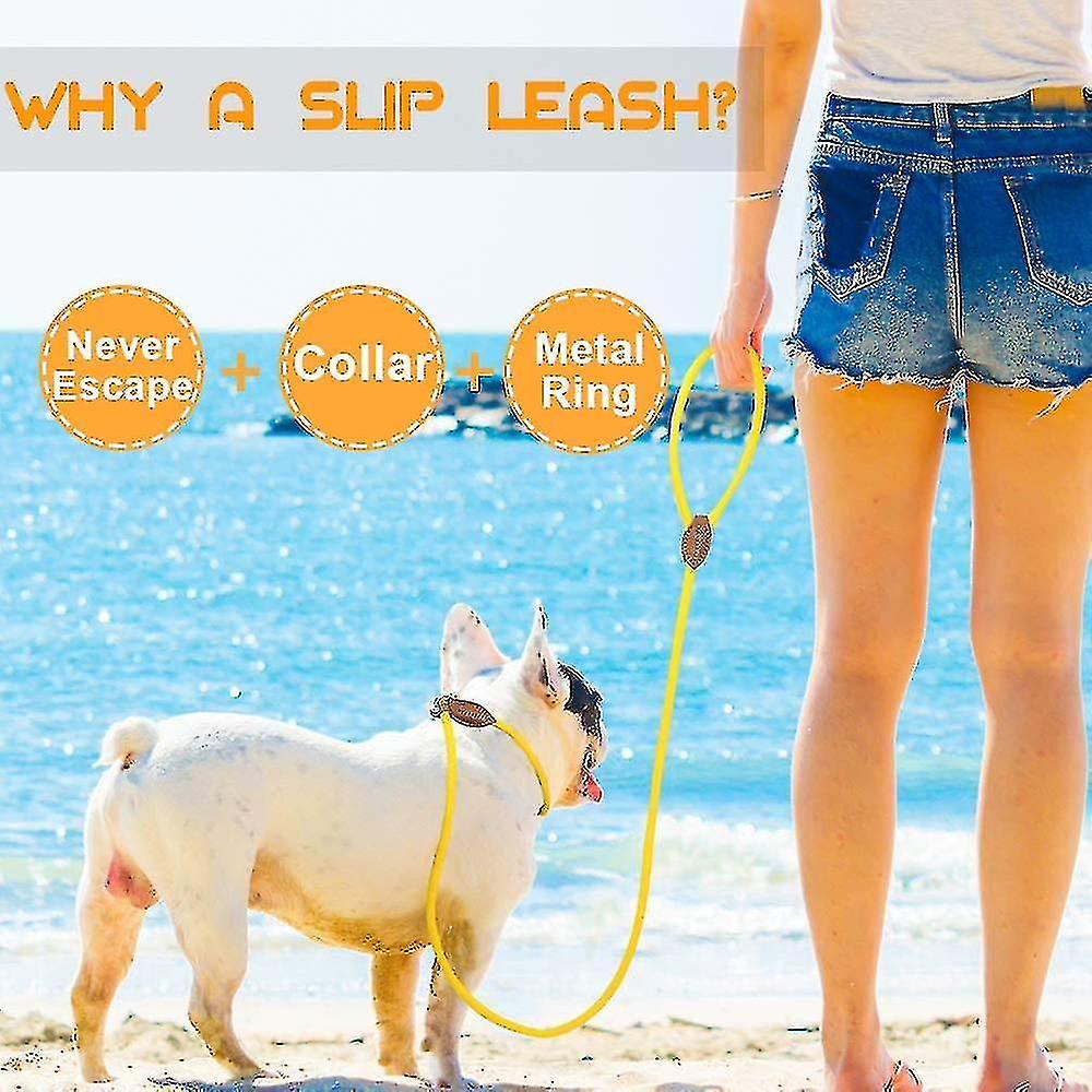 Dog Training Leash Collar Leash Dog Lasso Leash Leather Leash ...