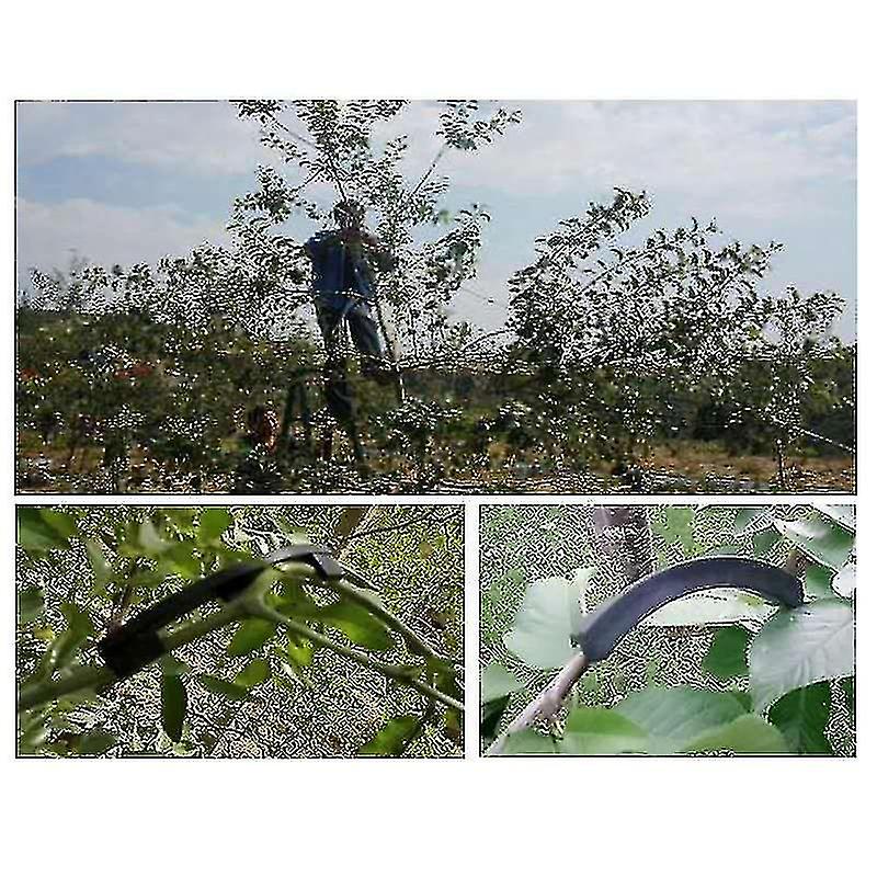 Frukt träd gren Bender Garden Tool Tree Branch Shaping Fixering Enhet ...