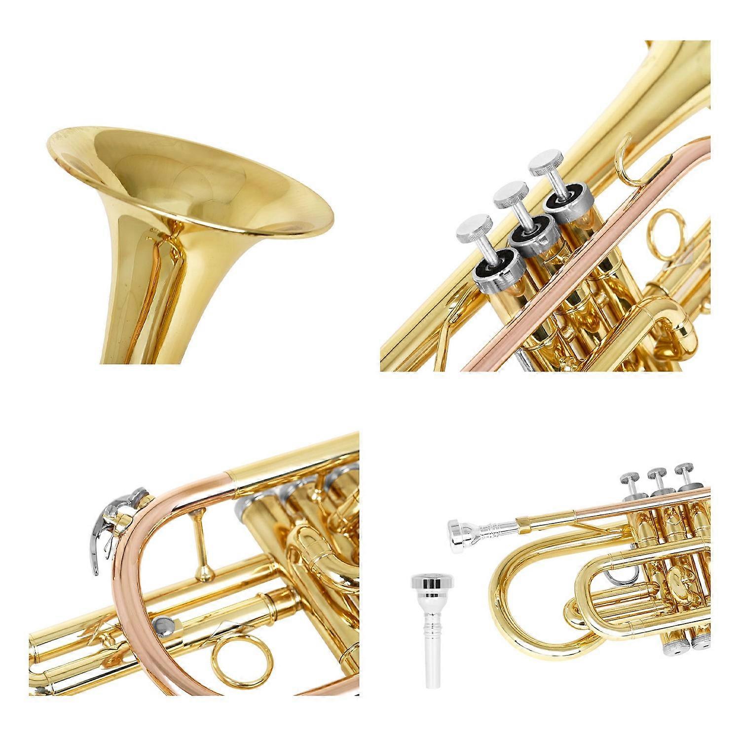 Bb Trumpet Set Gold Trumpet Orchestral Instrument with Box for ...