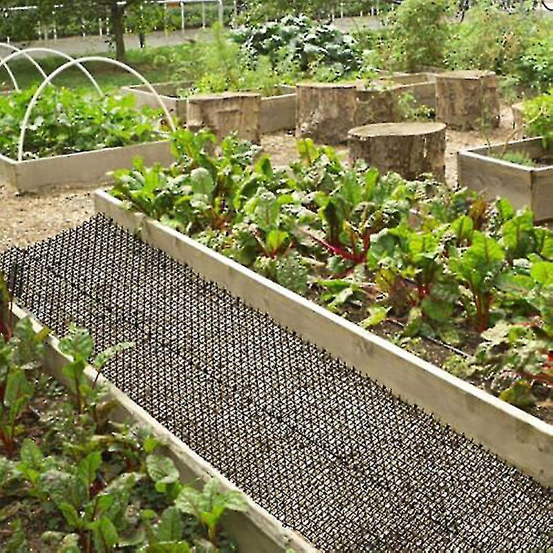 2 Meters Cat Mats With Spikes Prickle Strips Anti-cat Digging Stopper ...