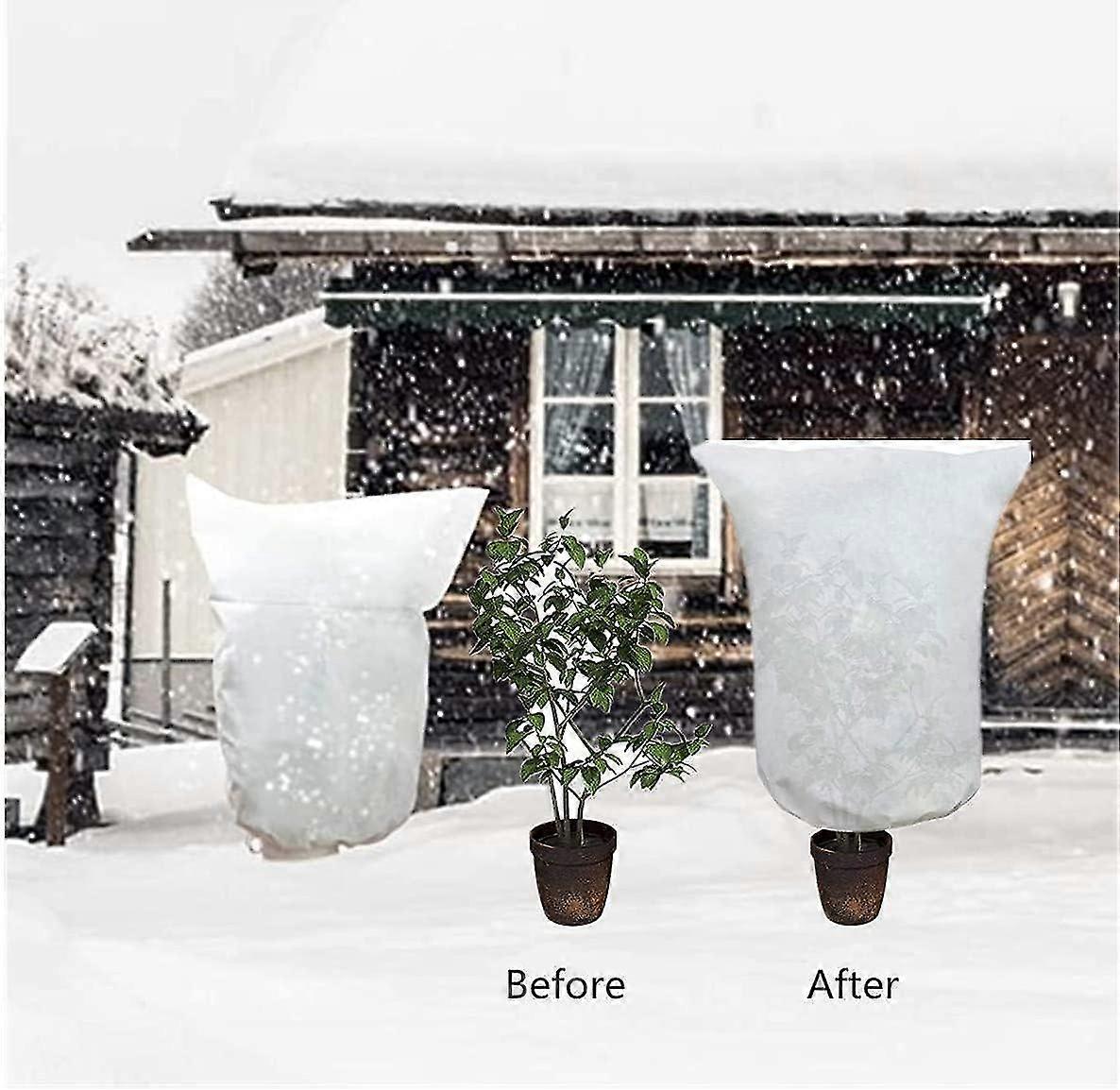 Plant protection cover,fruit bush tree cover sun protection and cold ...