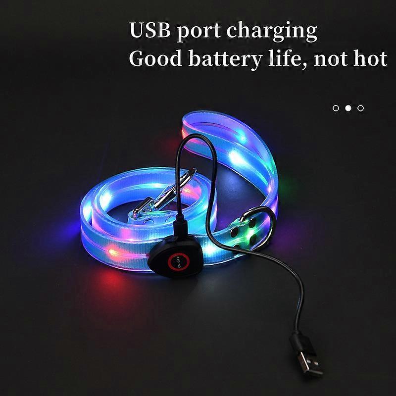 Pet light-up collar leash LED flashing collar USB charging dog walking ...