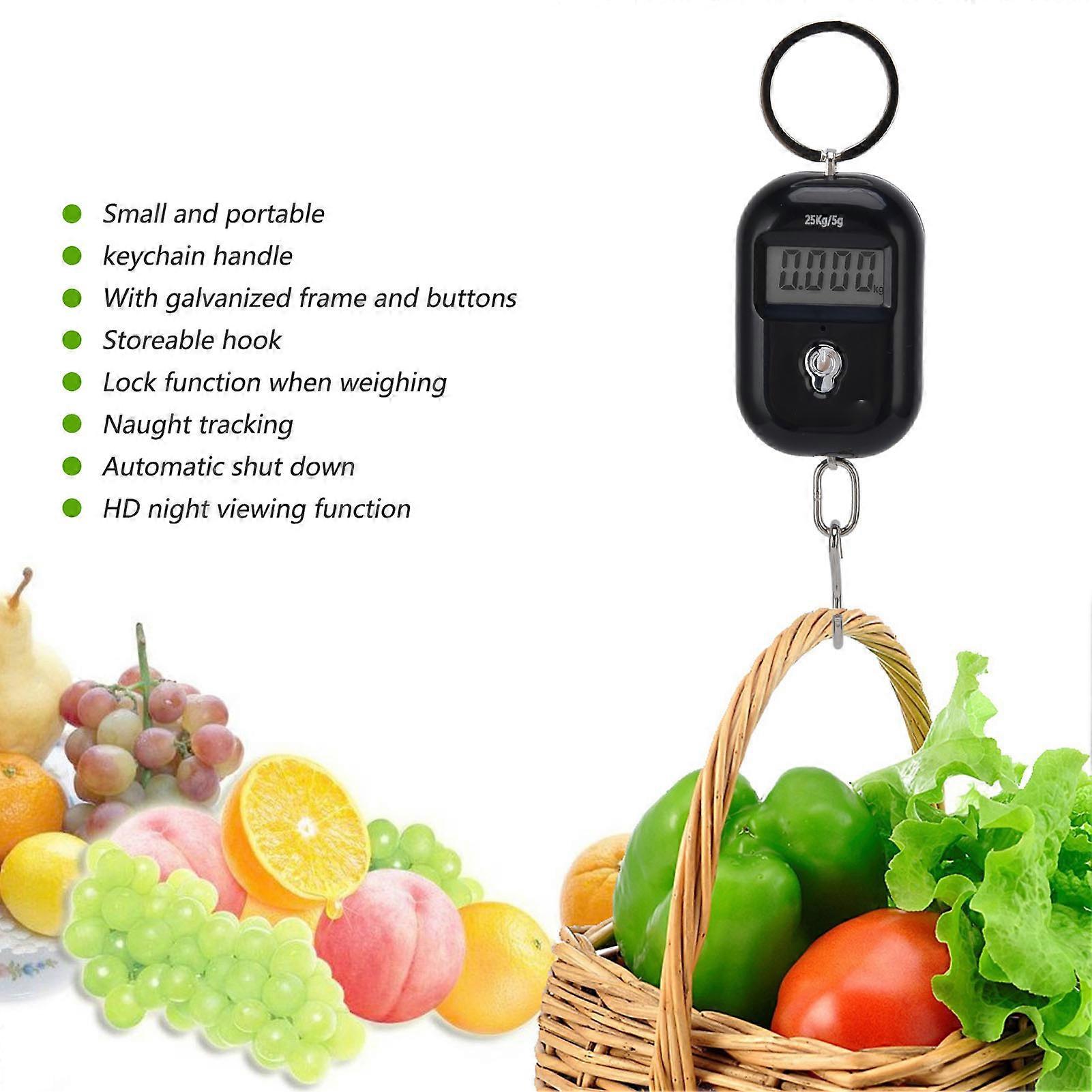 Digital Hanging Scale for Weighting, Fish Scale Portable Mini ...