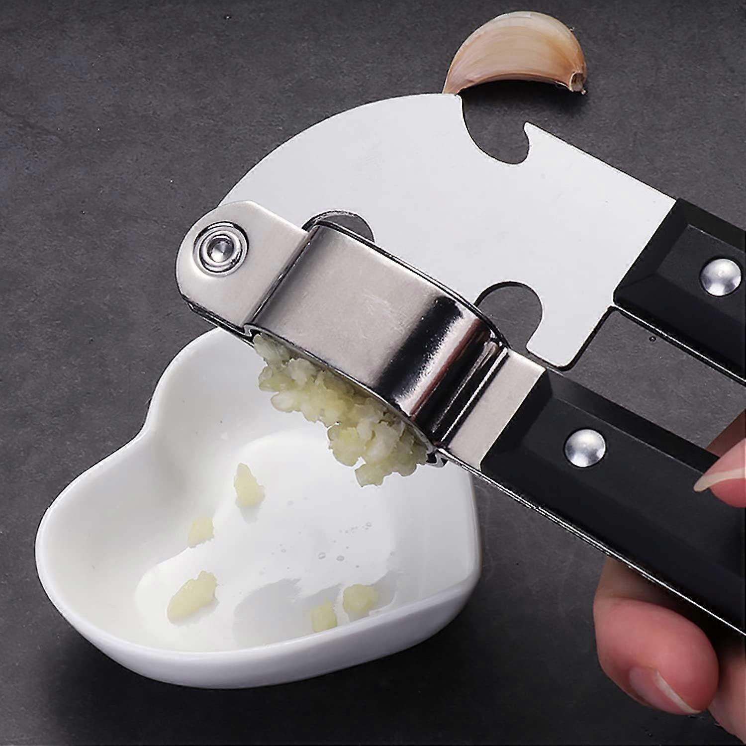 Professional Kitchen Garlic Press, Garlic Press Stainless Garlic ...