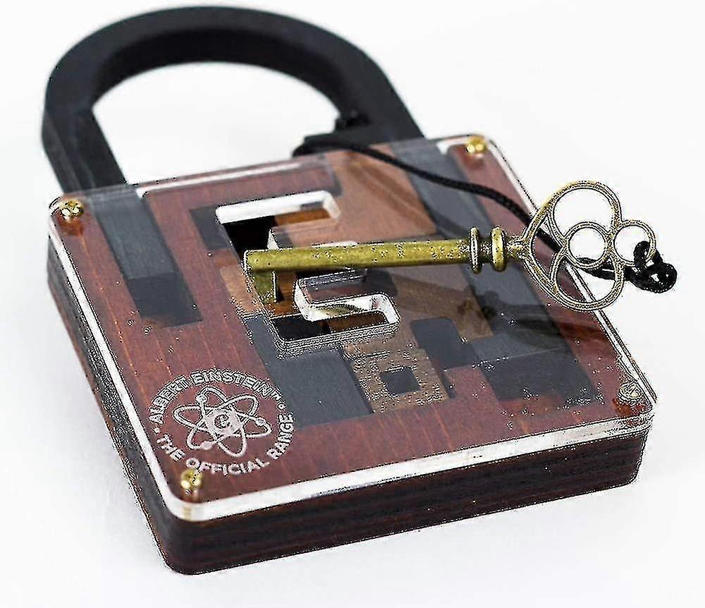 The Einstein Collection Lock Puzzle, Tricky Padlock Brain Game Brain ...
