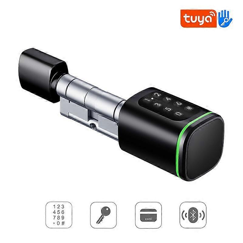 Keyless Euro Profile Cylinder Tuya/TT Lock APP Remote Control Smart ...