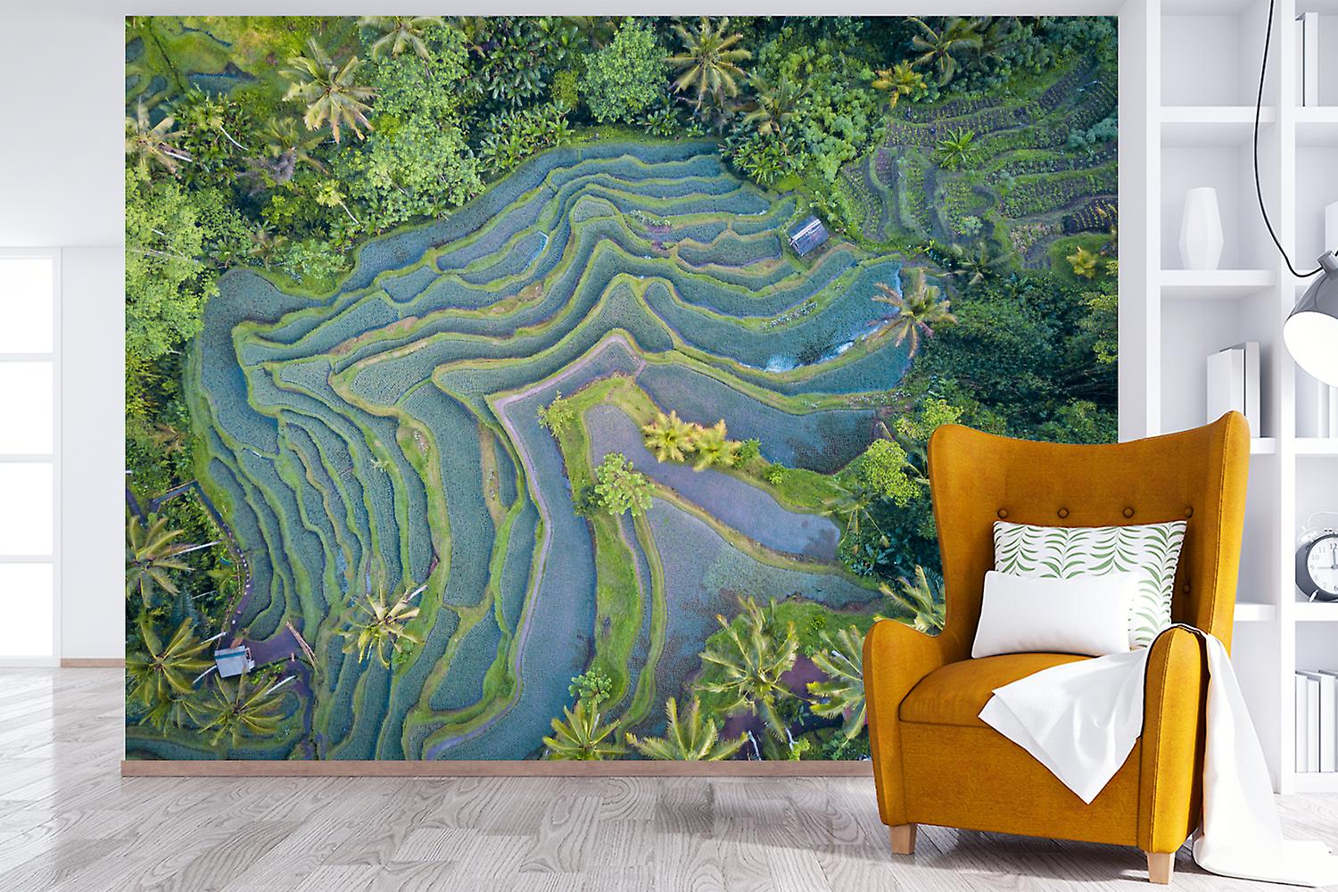 Fotobehang - 320x240 cm - Afbeelding van een rijstveld in Bali gemaakt ...