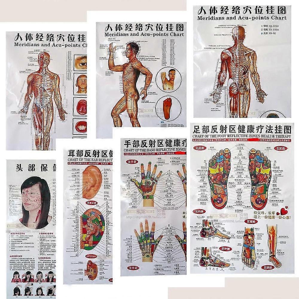 7pcs/set Acupuncture Massage Point Map Chinese&English Meridian ...