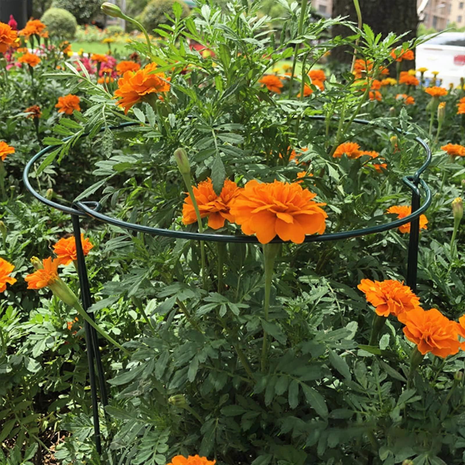 4PCS Plant Support Stake Cage Garden Peony Support Frame Green Half ...