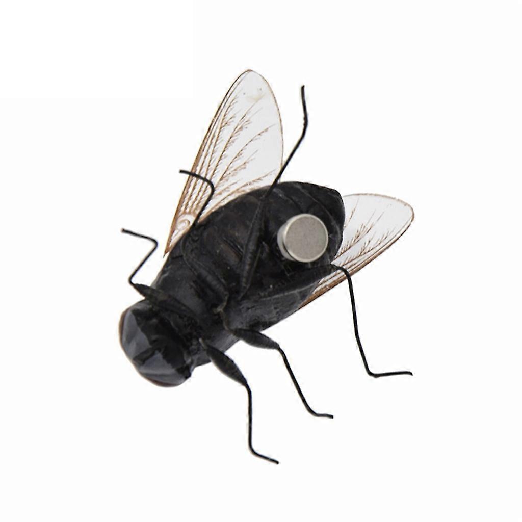 Magnetic Refrigerator Magnets High Simulated Insect Flies Clay Animal ...
