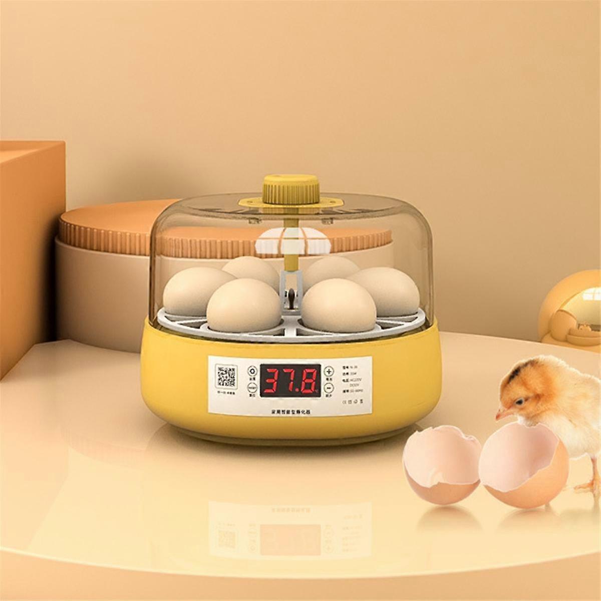 Mini Bird Incubator Automatic Home Incubator Automatic Incubator ...