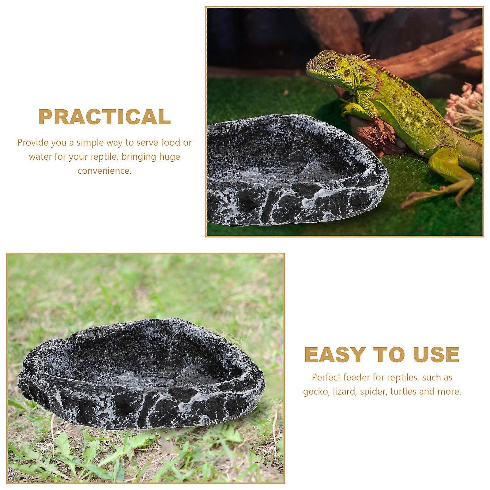 Multipurpose Reptile Food Basin Reptile Water Holder Lizard Food Bowl ...