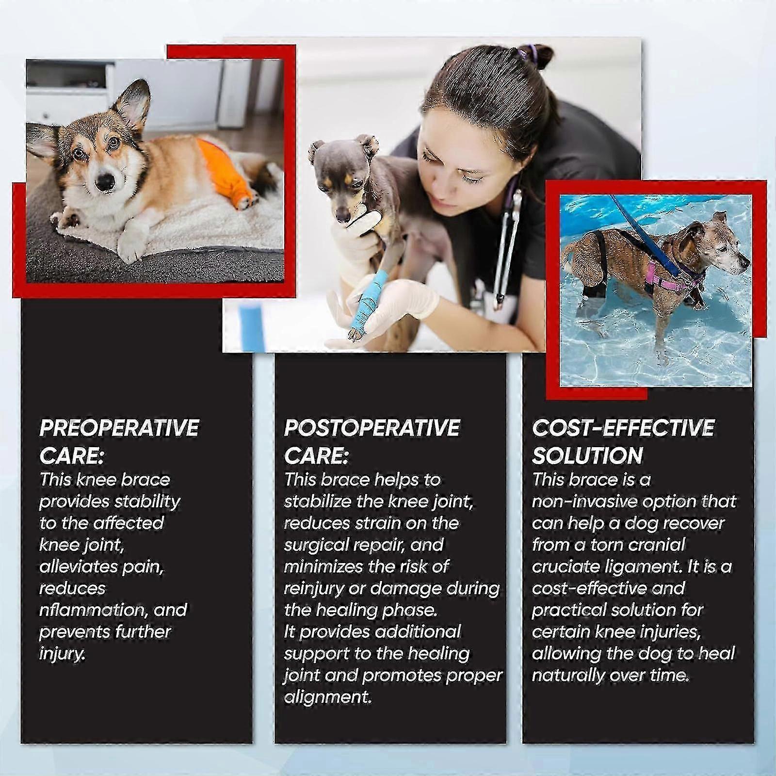 Premium Dog ACL Knee Brace, Dog Knee Brace for Torn ACL Hind Leg, Dog ...