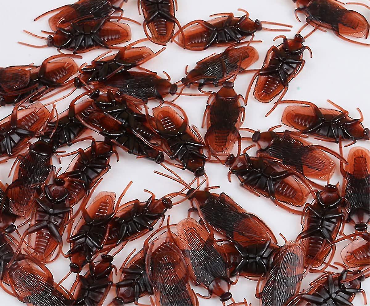 12- Fake Roaches Prank - Cockroach Bugs Look Real Black | Fruugo UK