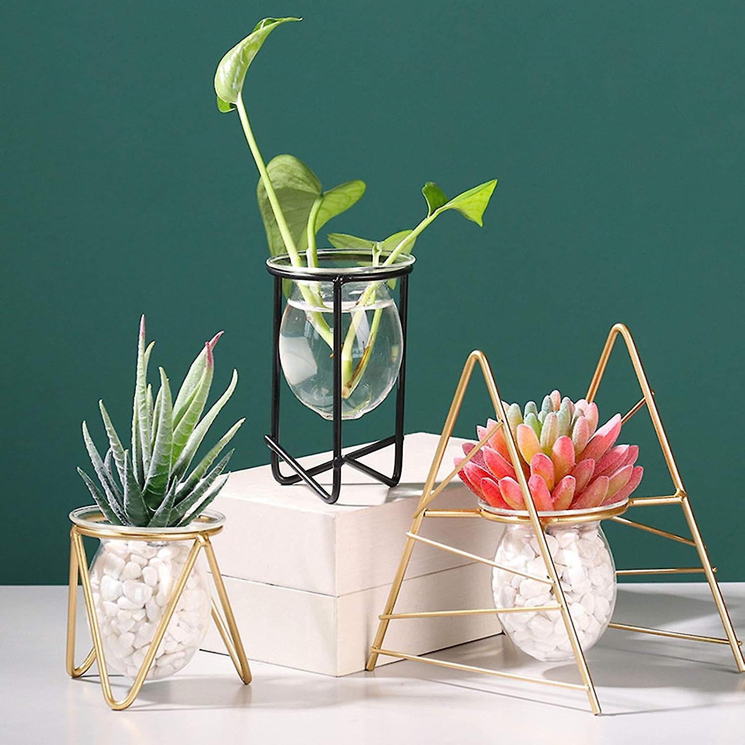 Plant Terrarium With Metal Stand, Air Planter Bulb Glass Vase ...