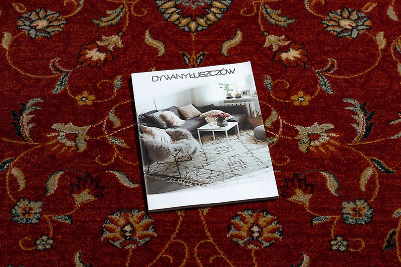 Wool carpet OMEGA ARIES flowers ruby | Fruugo UK