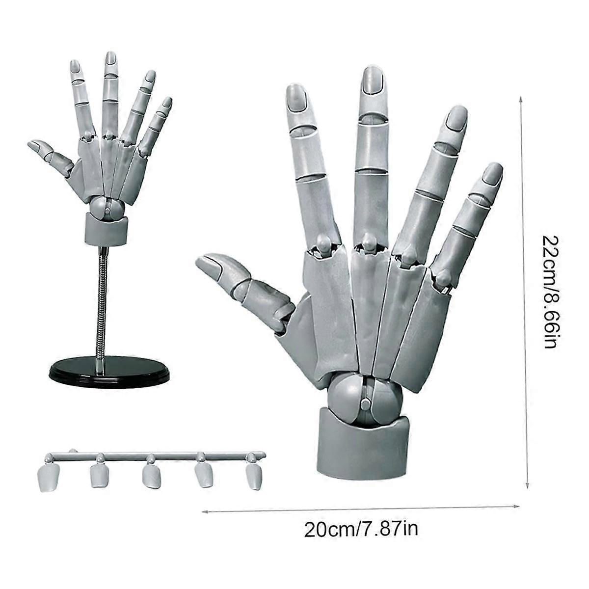 Hand Model 1:1 Articulated Mannequin Hand Moveable Joint+Base DIY PVC ...