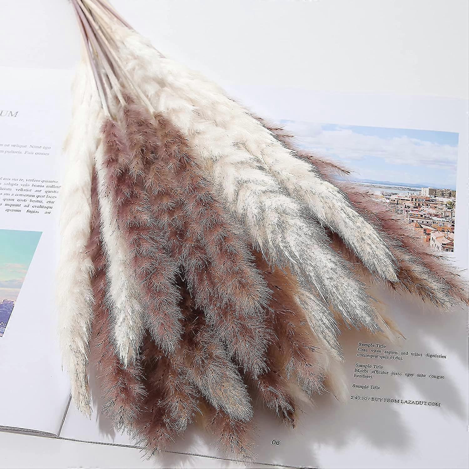 30 Pcs Pampas Natural Grass Reed Plume Dried Flowers Phragmites Bouquet ...