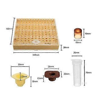 Essential Beekeeping Equipment Kit Queen Rearing for Beekeeping ...